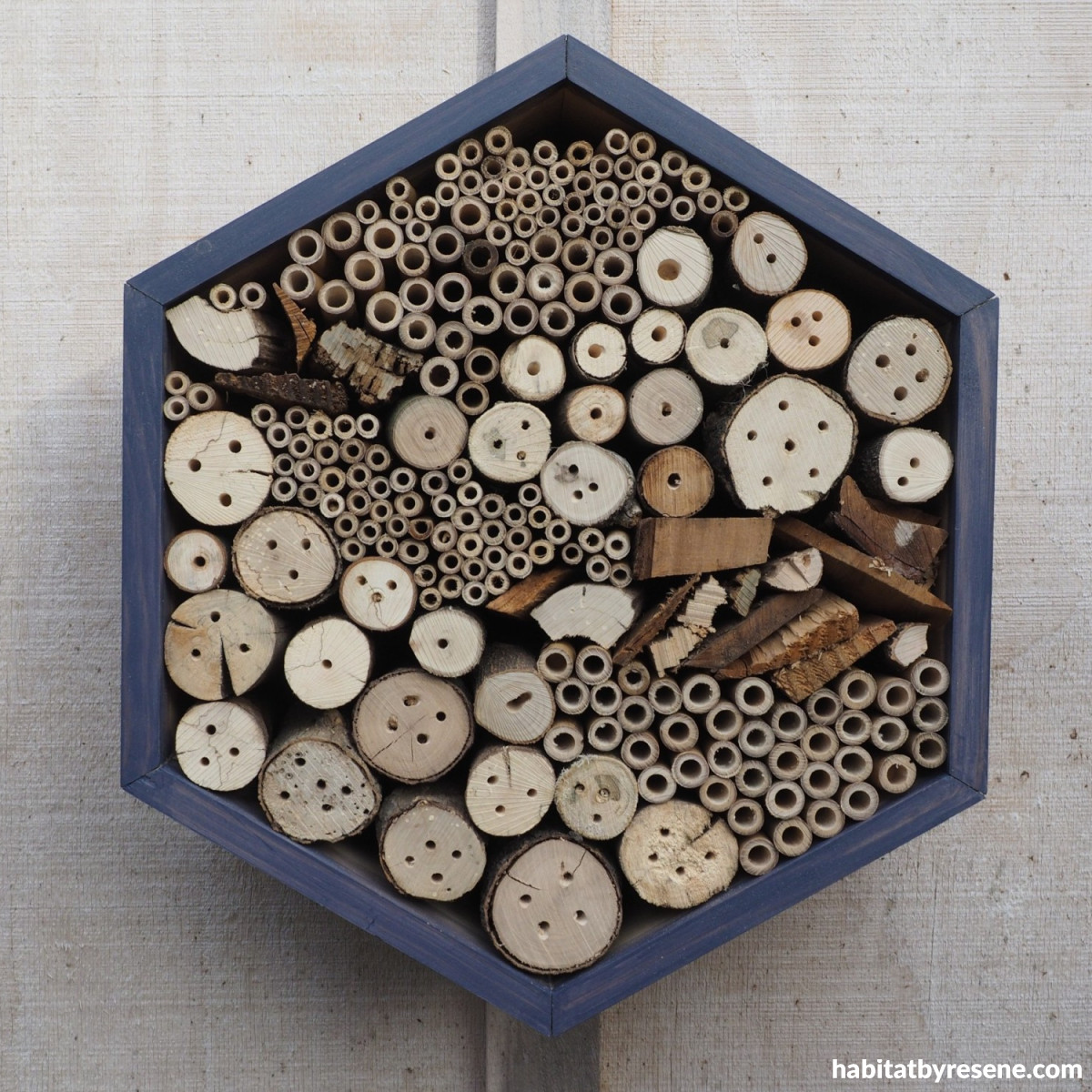 Create a bee and beneficial insect hotel | Habitat by Resene