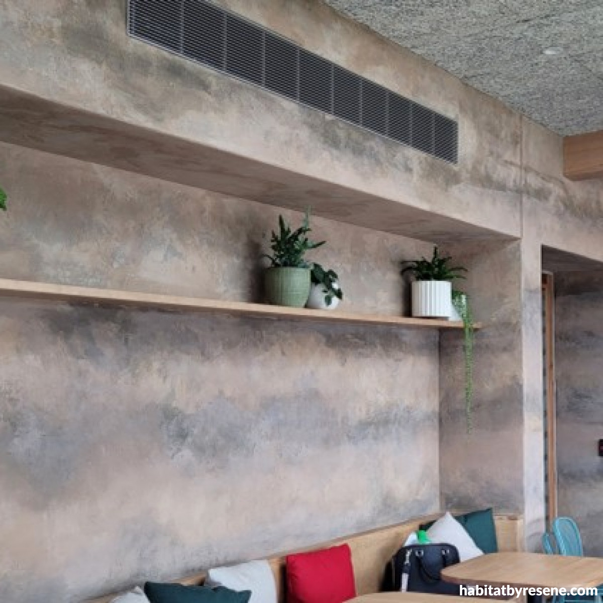 Join our free Webinar on Plaster Coatings for inside and out | Habitat ...