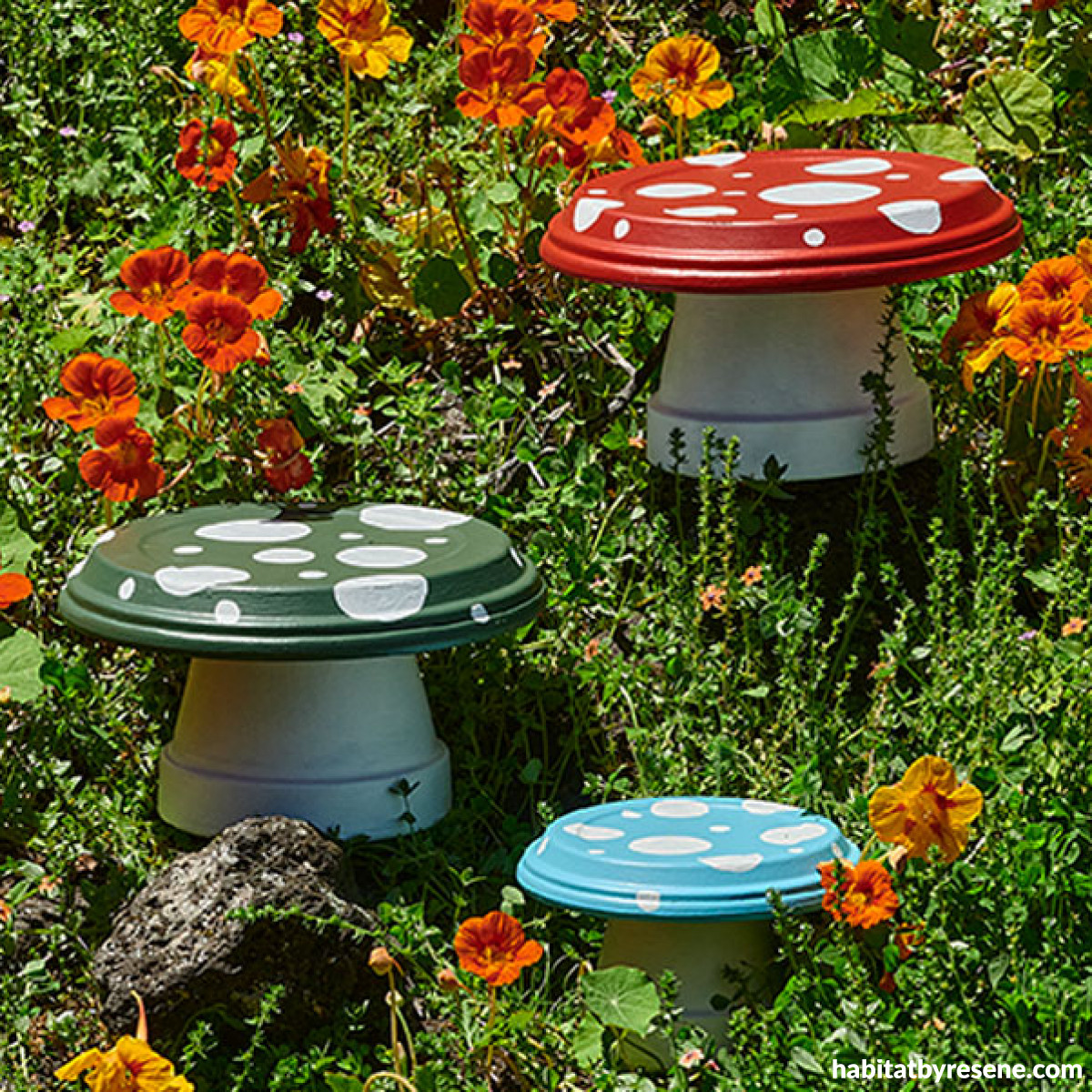 Kids’ craft: Transform old terracotta pots into terrific toadstools ...