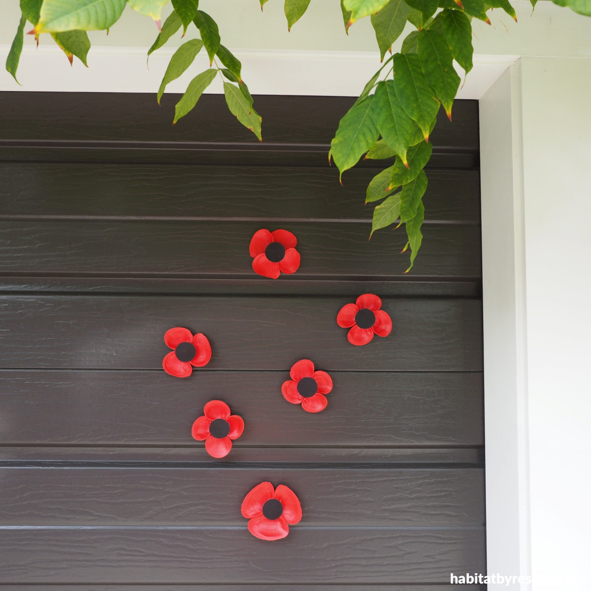 Make your own ANZAC poppies with shells | Habitat by Resene