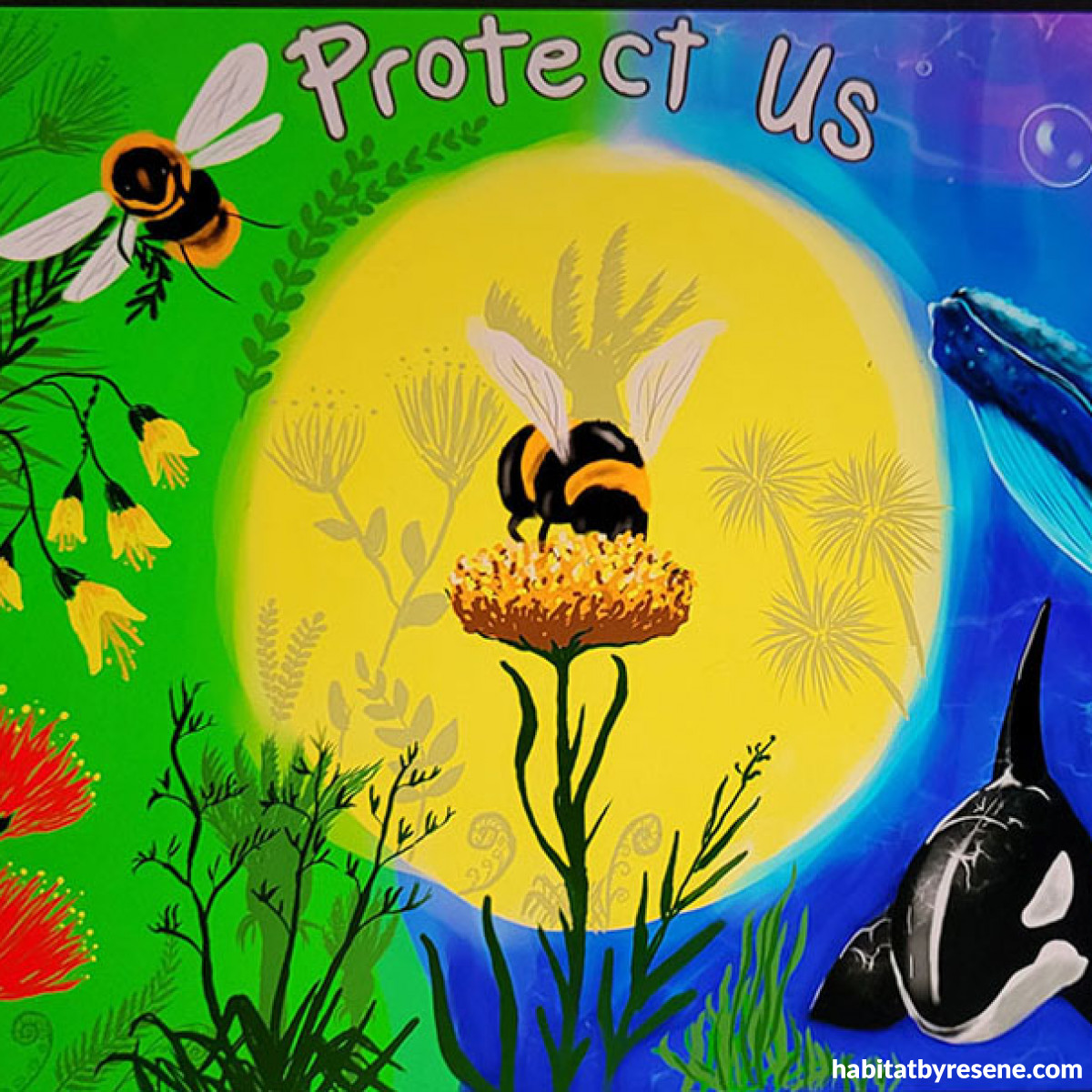 Buzzing with colour: Award-winning nature mural unveiled in Maraetai ...