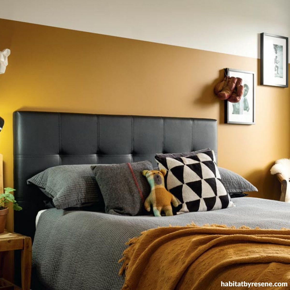 Enter the Resene Colour Home Awards 2023/24 now! | Habitat by Resene