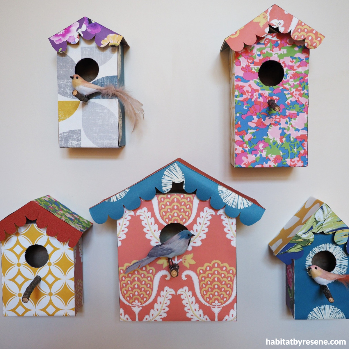 A box of birds: Make your own colourful decorative indoor birdhouses ...