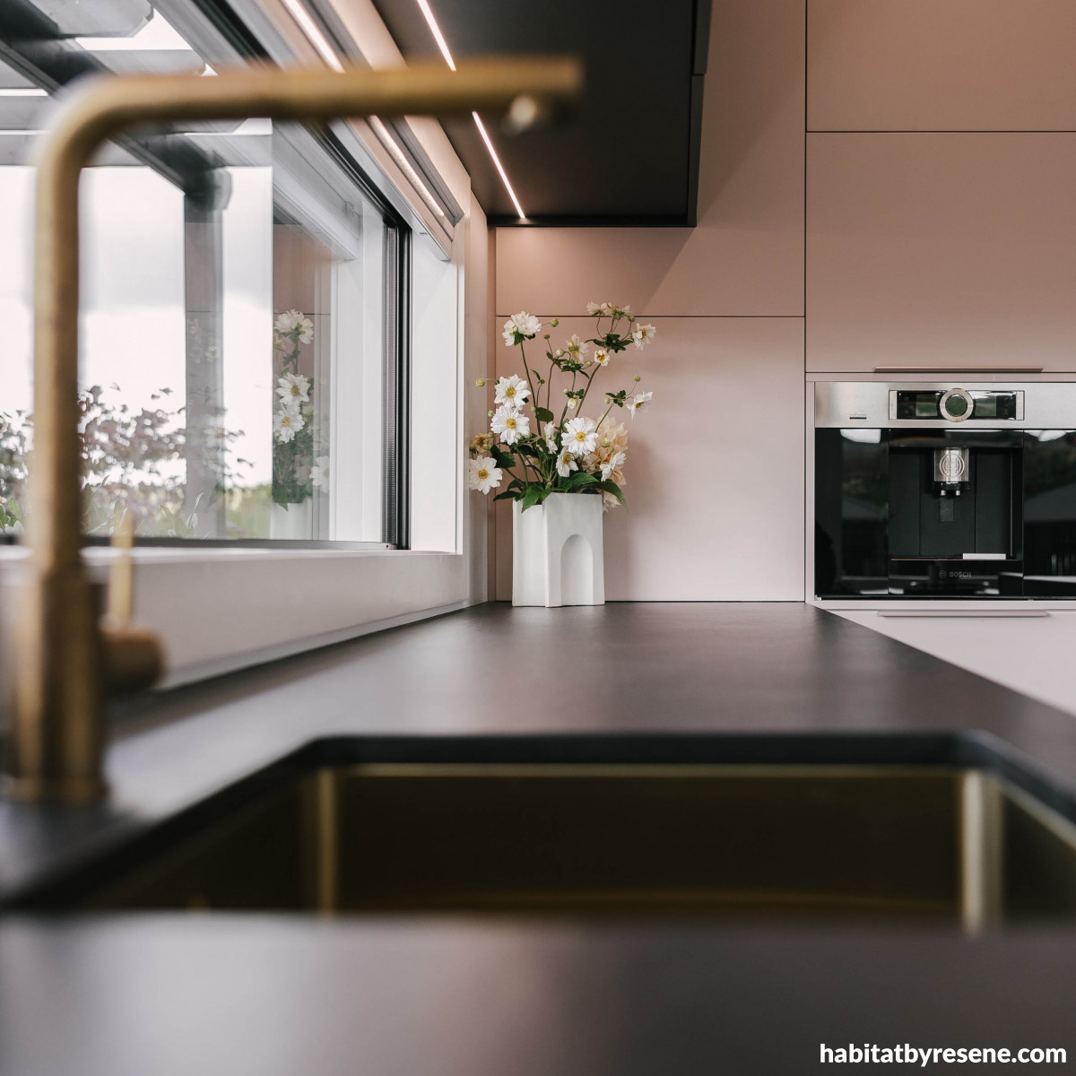 A splash of personality | Habitat by Resene