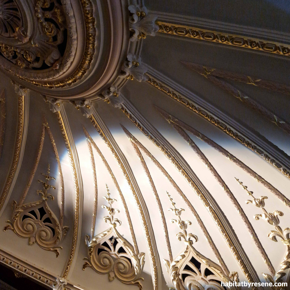Restoring splendour: The Oamaru Opera House Dome project | Habitat by Resene