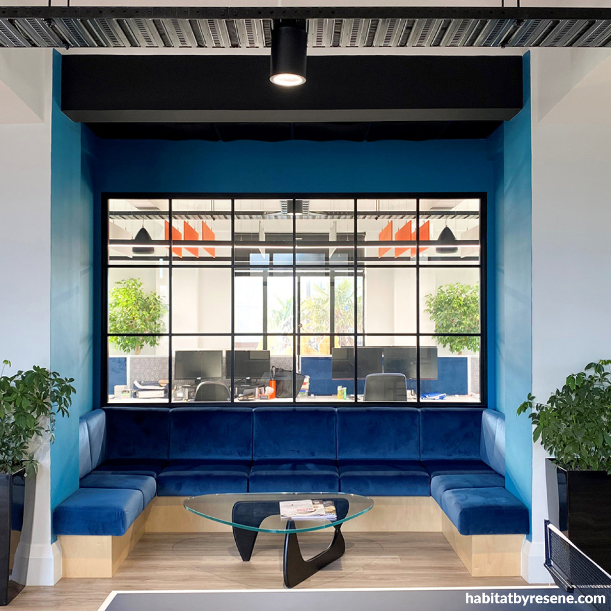 The art of office transformation: Crafting a bold and dynamic workspace ...