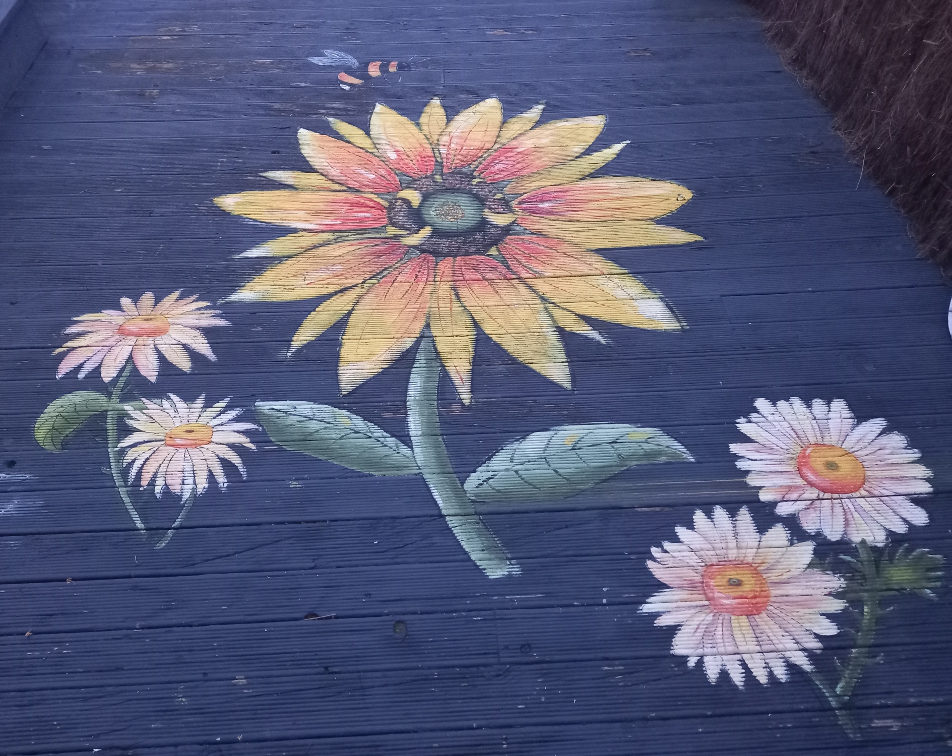Jacqui’s pretty petals will brighten the deck | Habitat by Resene
