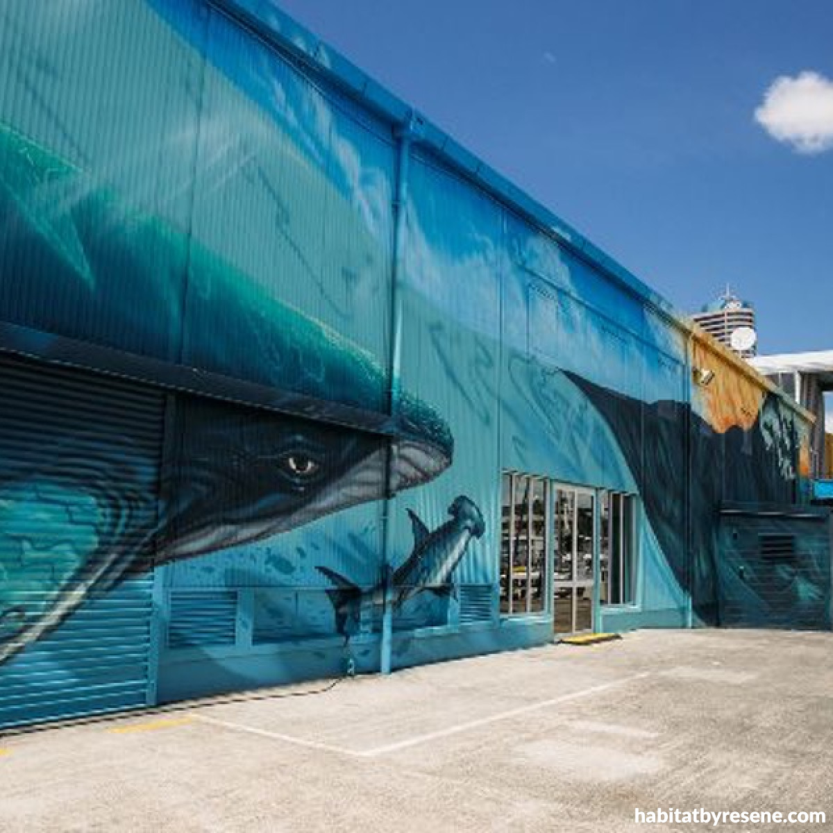 New Zealand's largest mural features a life-sized humpback whale ...