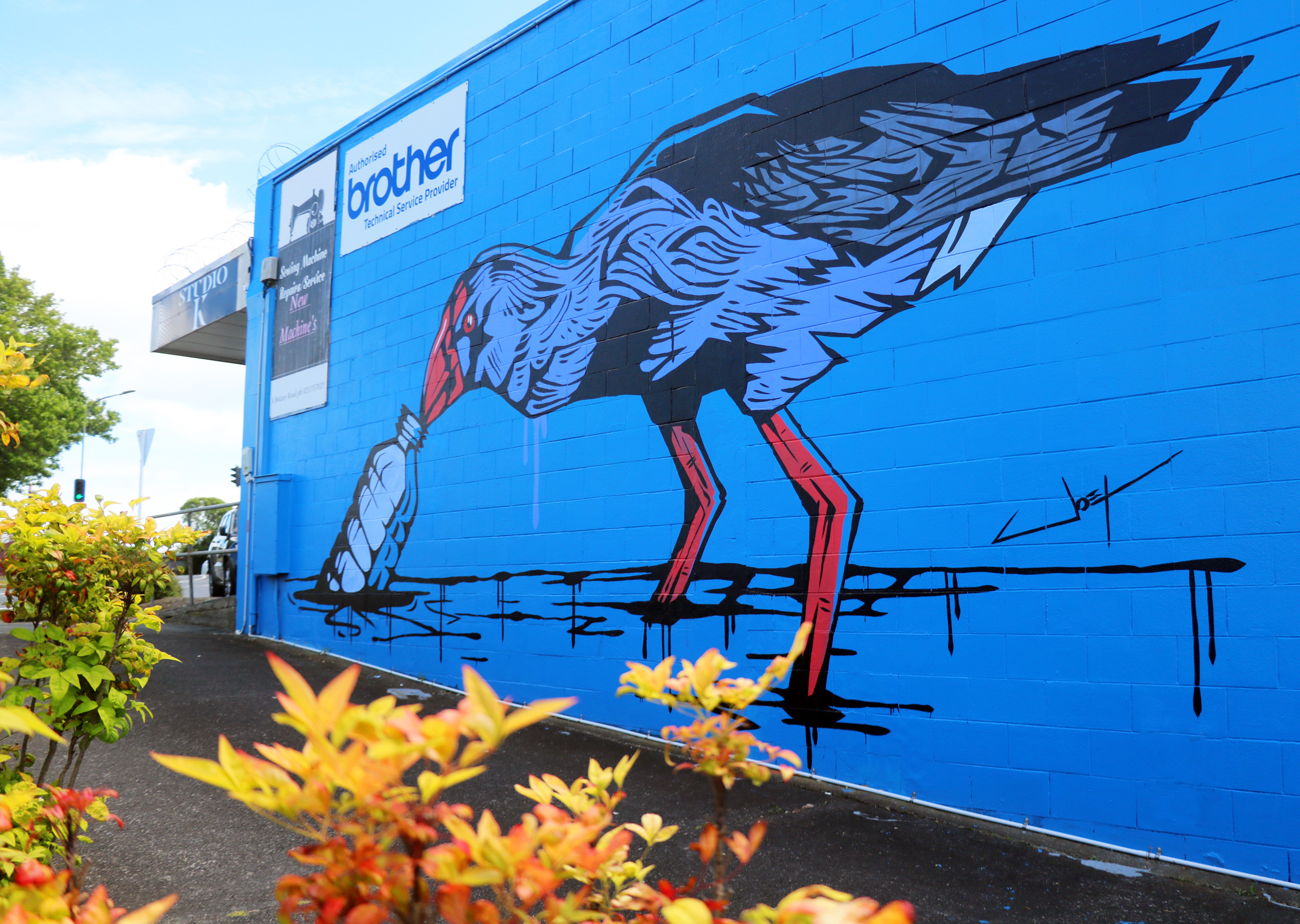 Towering tui makes a vibrant statement on the wall of a Howick café ...