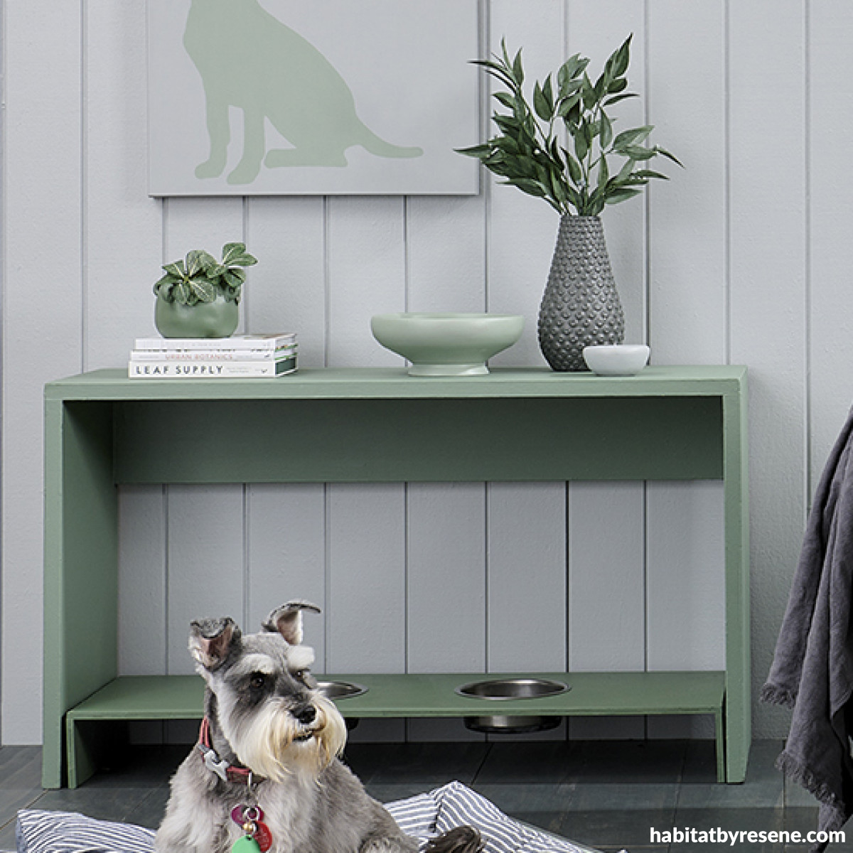 Spoil your furry friend with this DIY dog feeding station | Habitat by ...