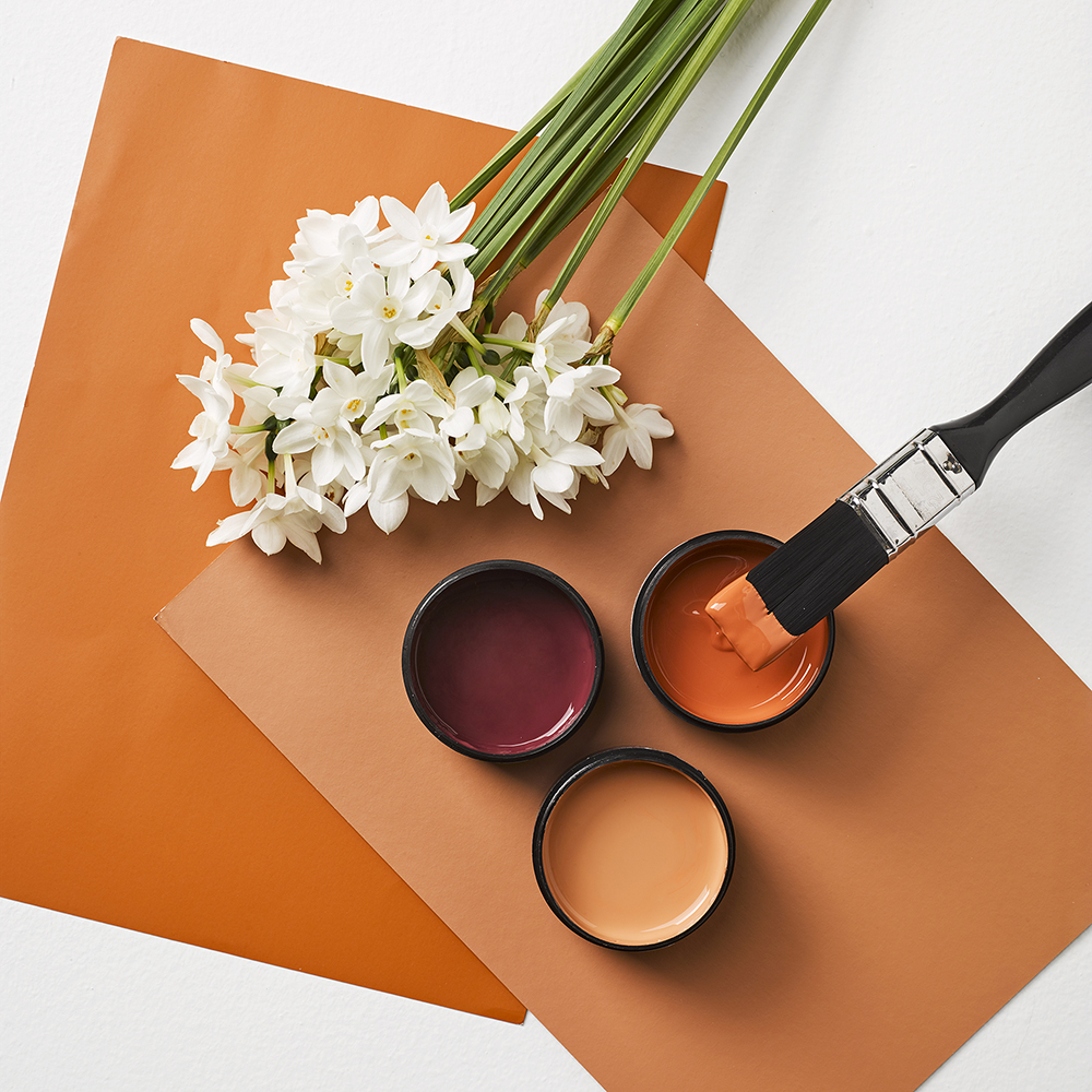 The 2021 Colour Forecast according to the ArchiPro design community ...