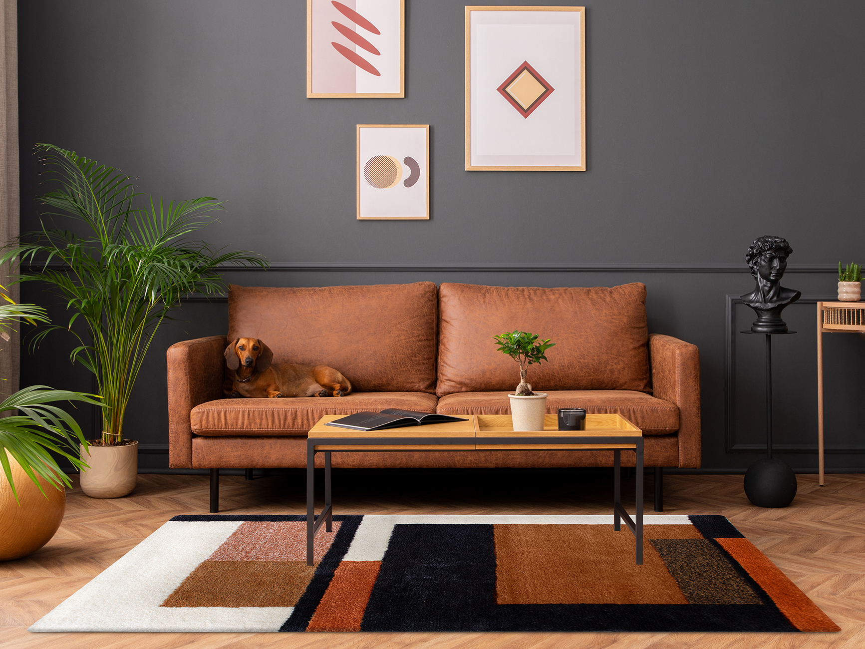 Colour your floor with these impressive designs from the Resene Living ...