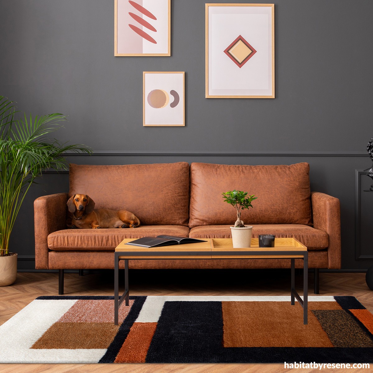 Colour your floor with these impressive designs from the Resene Living ...