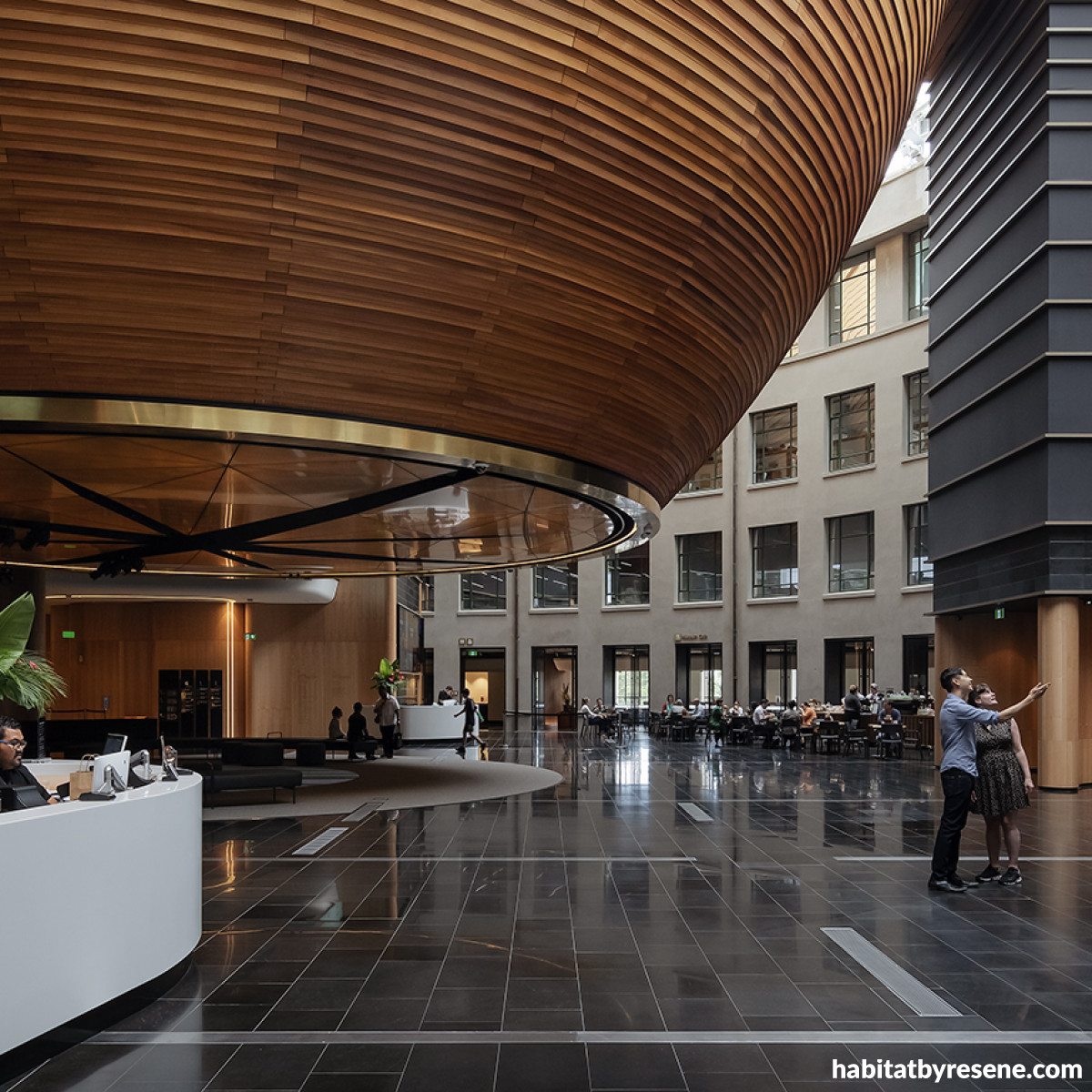 Popular Auckland architecture guide gets an in-depth update | Habitat ...