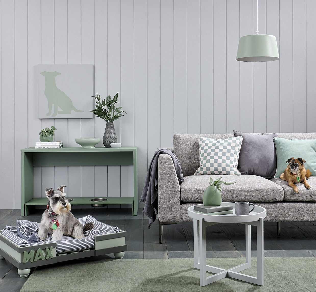 Purr-fect pet projects | Habitat by Resene