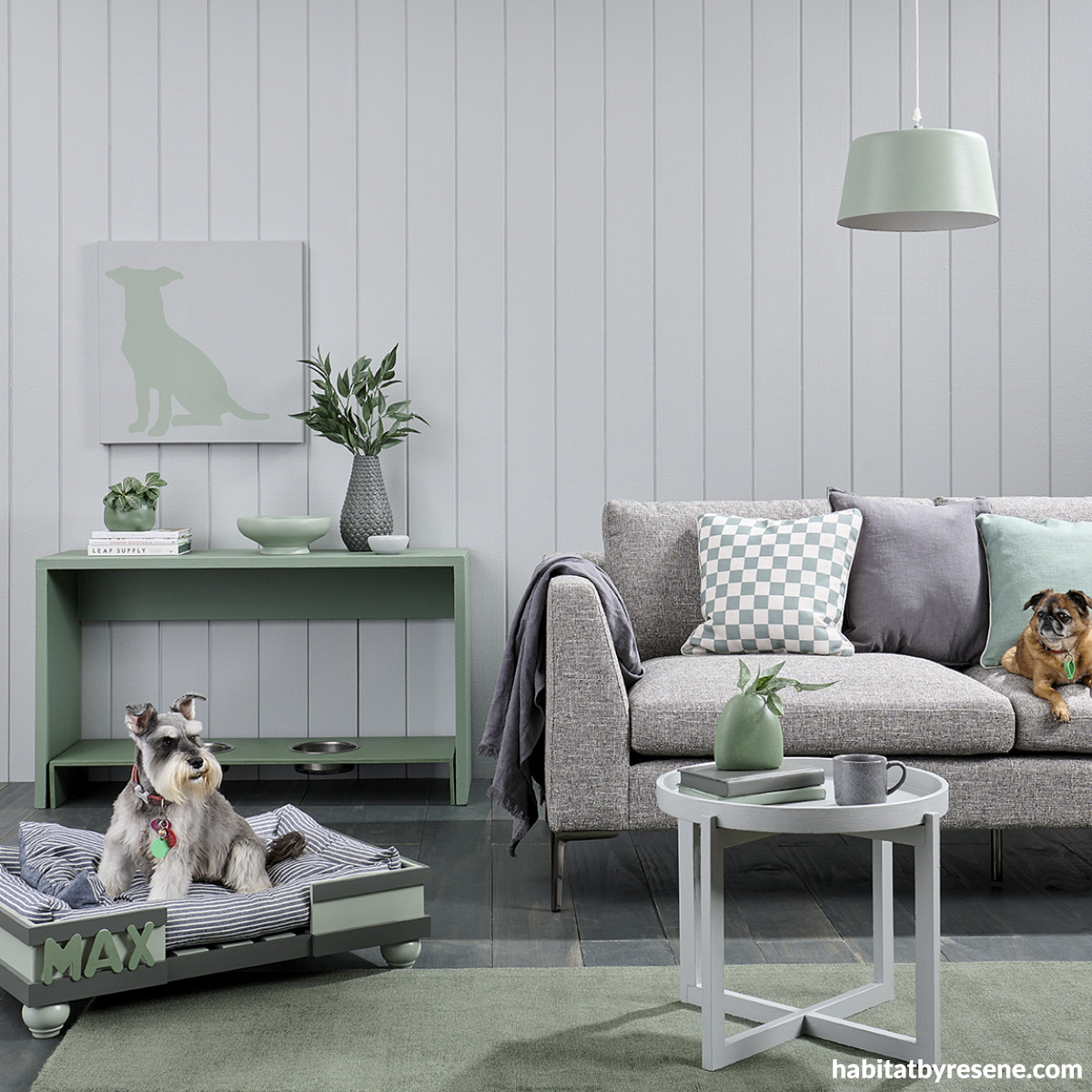 Purr-fect pet projects | Habitat by Resene