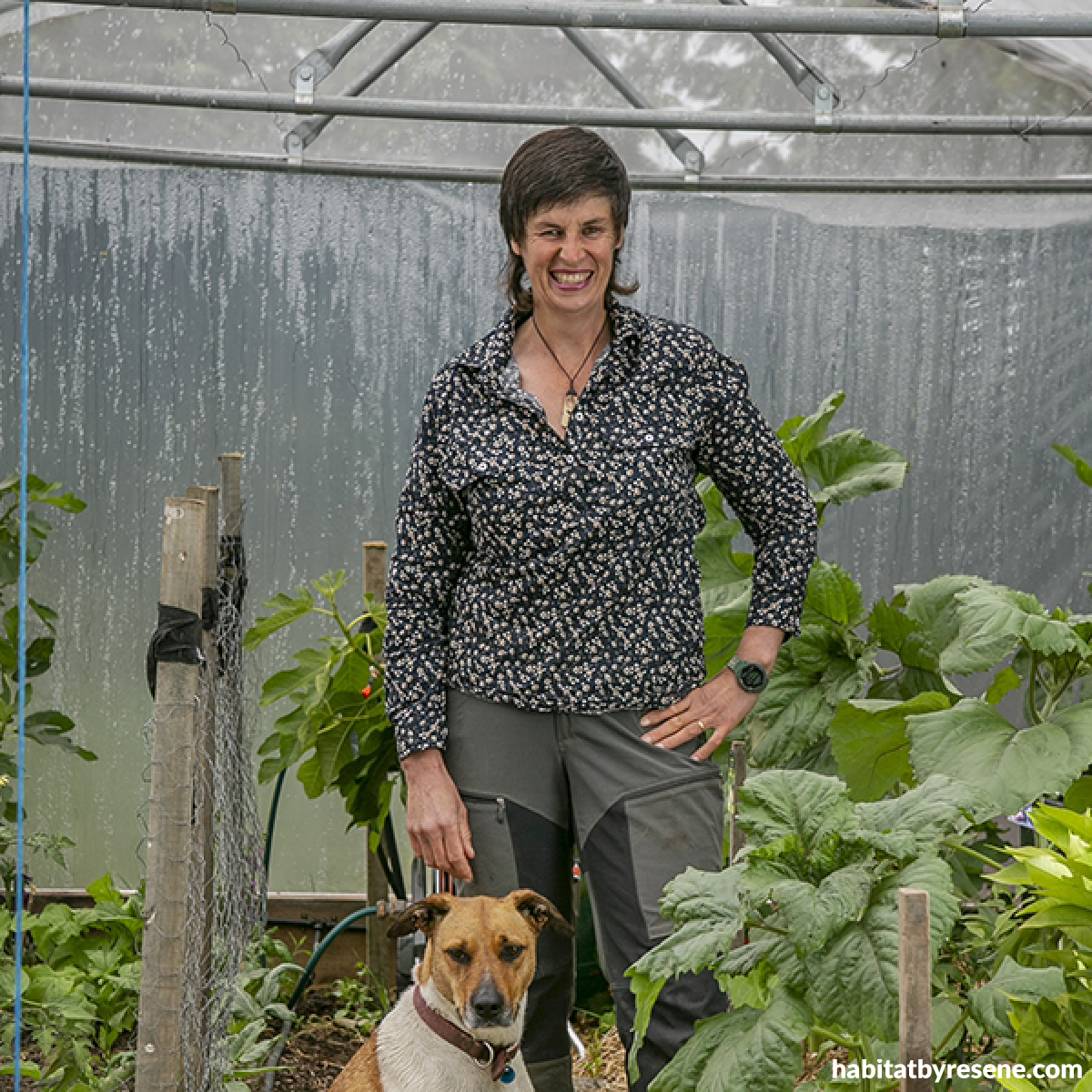 NZ Gardener of Year 2022 launches | Habitat by Resene