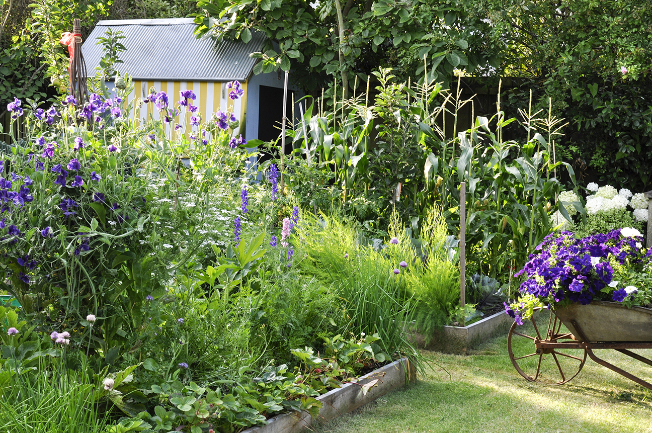 A garden recreated | Habitat by Resene