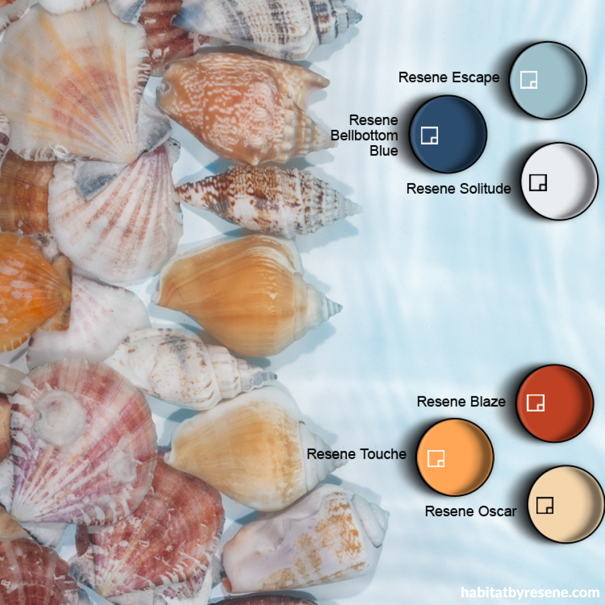 Be inspired by nature | Habitat by Resene