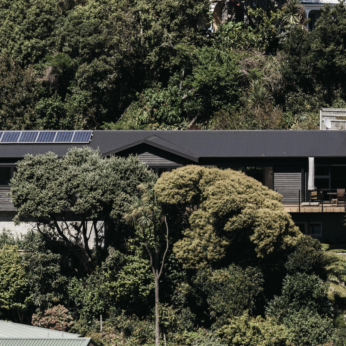 Deborah and Stuart’s remarkable rebuild is a cut above | Habitat by Resene