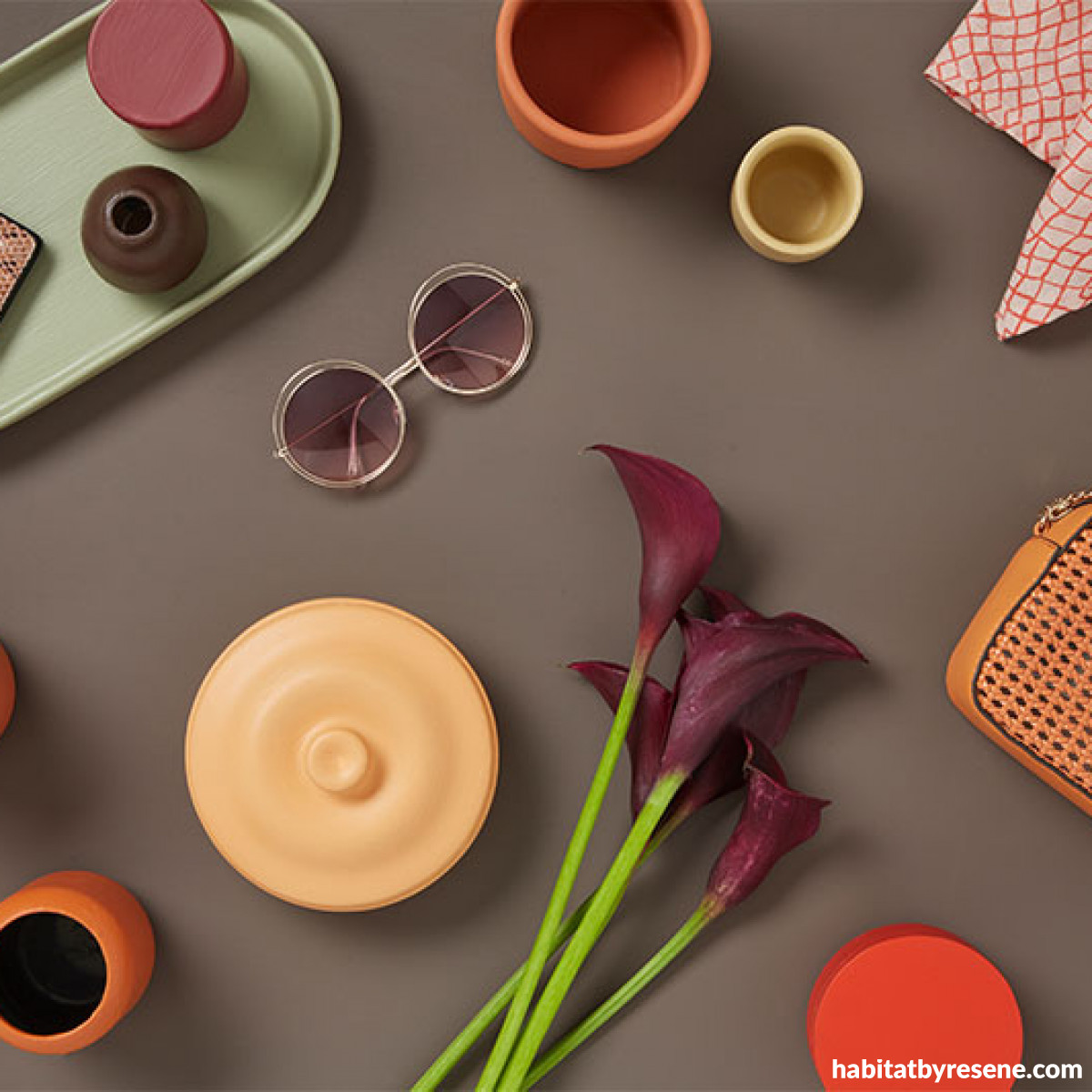 On trend: neutrals with soul | Habitat by Resene