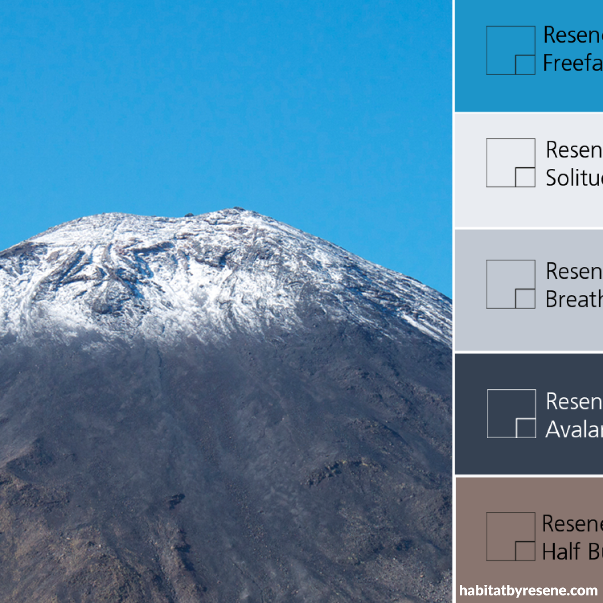 Let nature lead you | Habitat by Resene