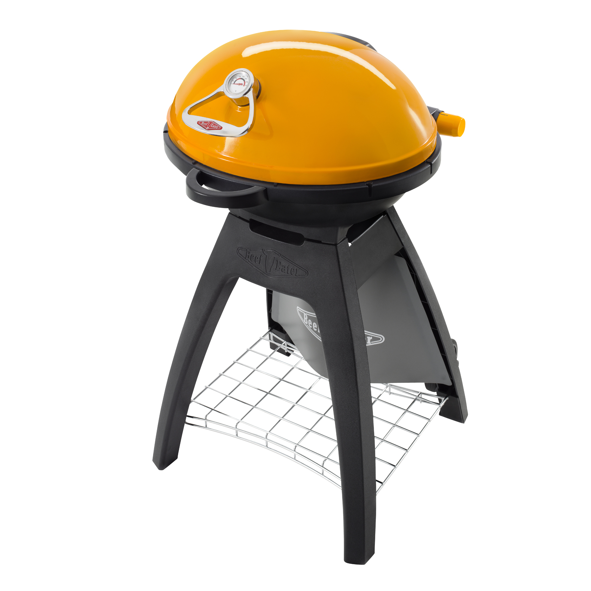 Funky Bugg | Habitat by Resene