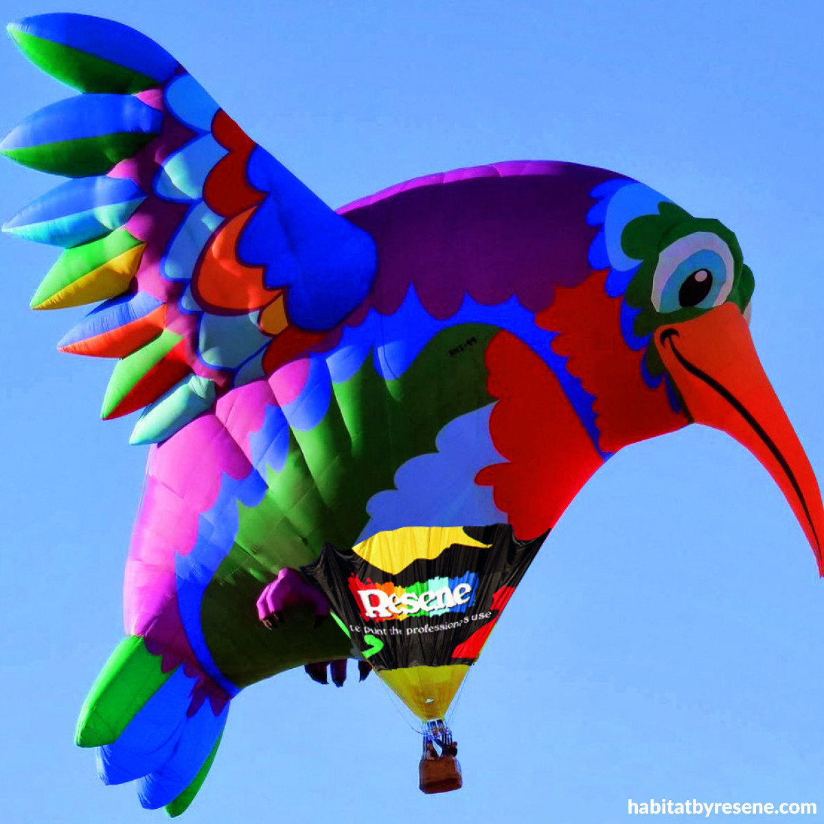 Taking to the skies | Habitat by Resene