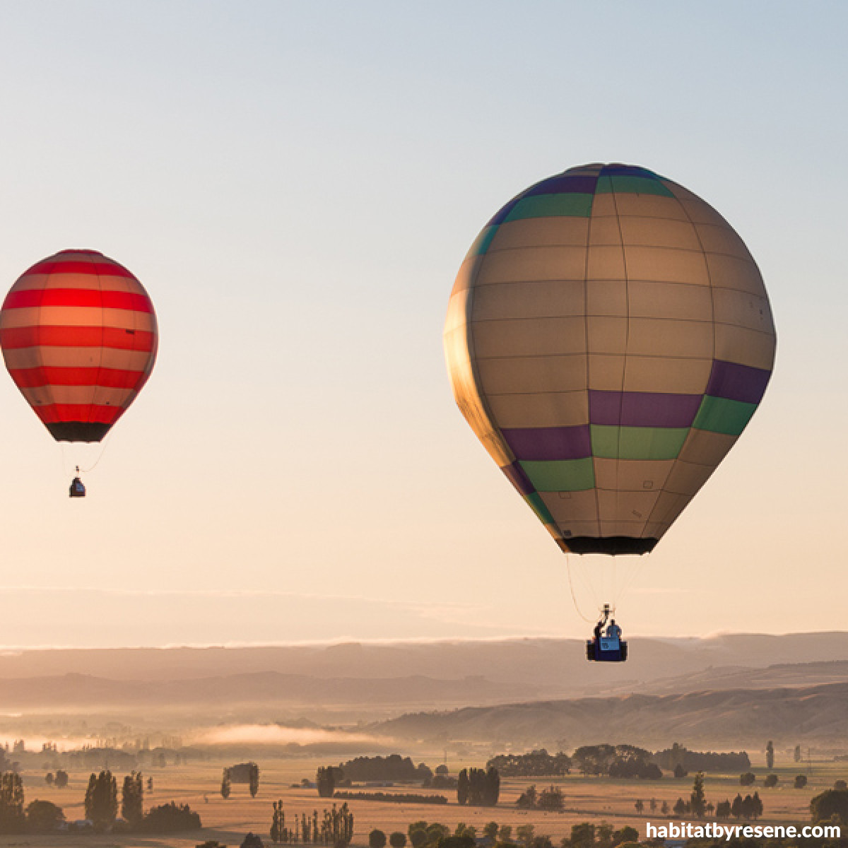 Look to the skies | Habitat by Resene