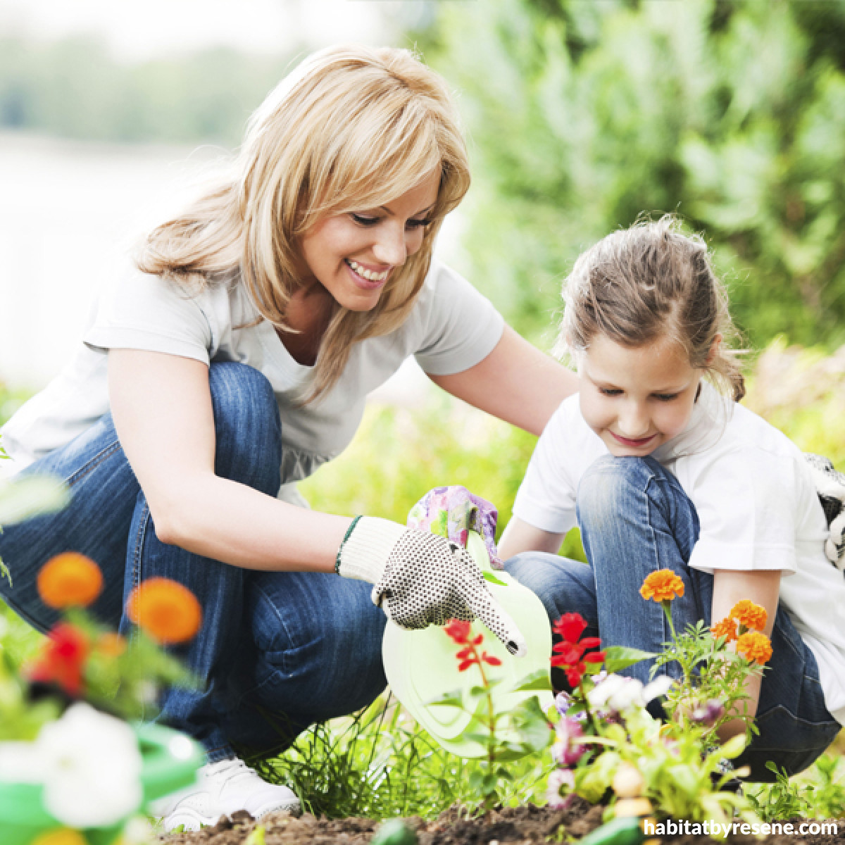 Preparing your garden for spring | Habitat by Resene