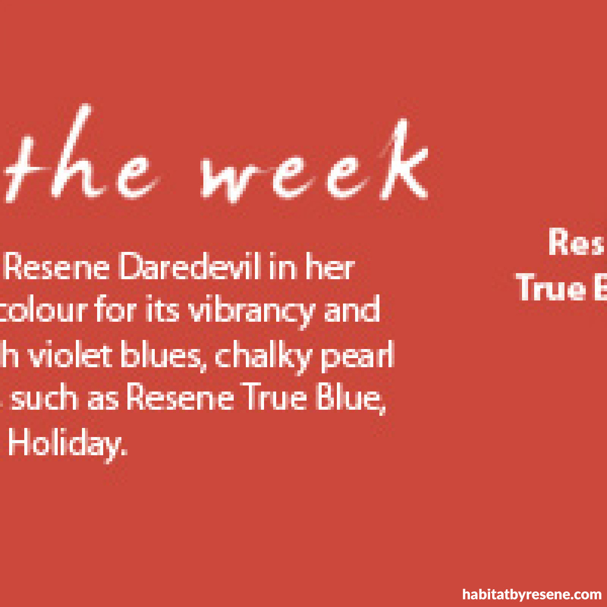 Colour of the week: Resene Daredevil | Habitat by Resene
