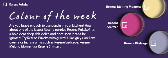 Colour of the week: Resene Pukeko | Habitat by Resene