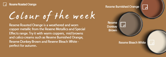 Colour of the week: Roasted Orange | Habitat by Resene