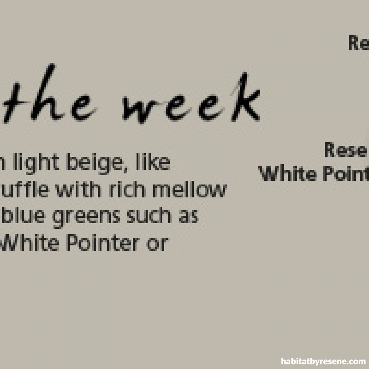 Colour of the Week - Resene Truffle | Habitat by Resene