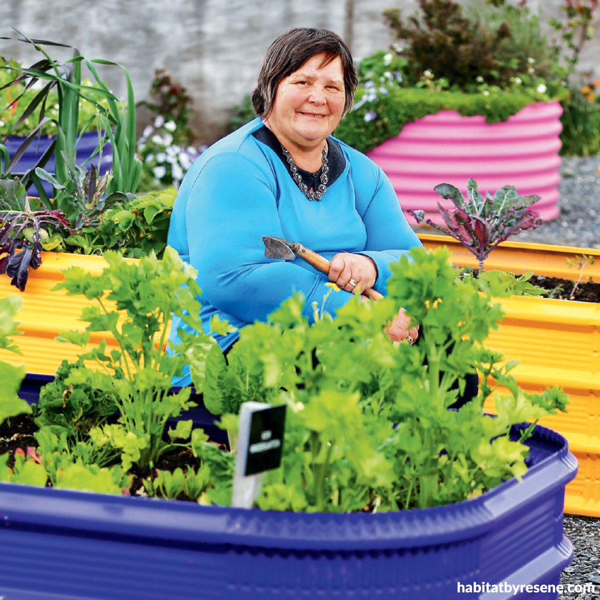 Gayle's winning efforts | Habitat by Resene