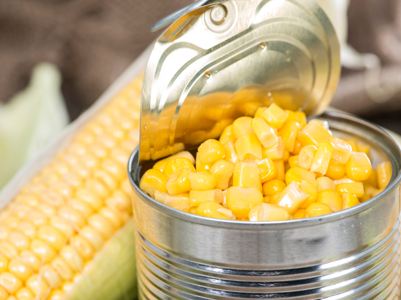 Hunger for colour | Habitat by Resene