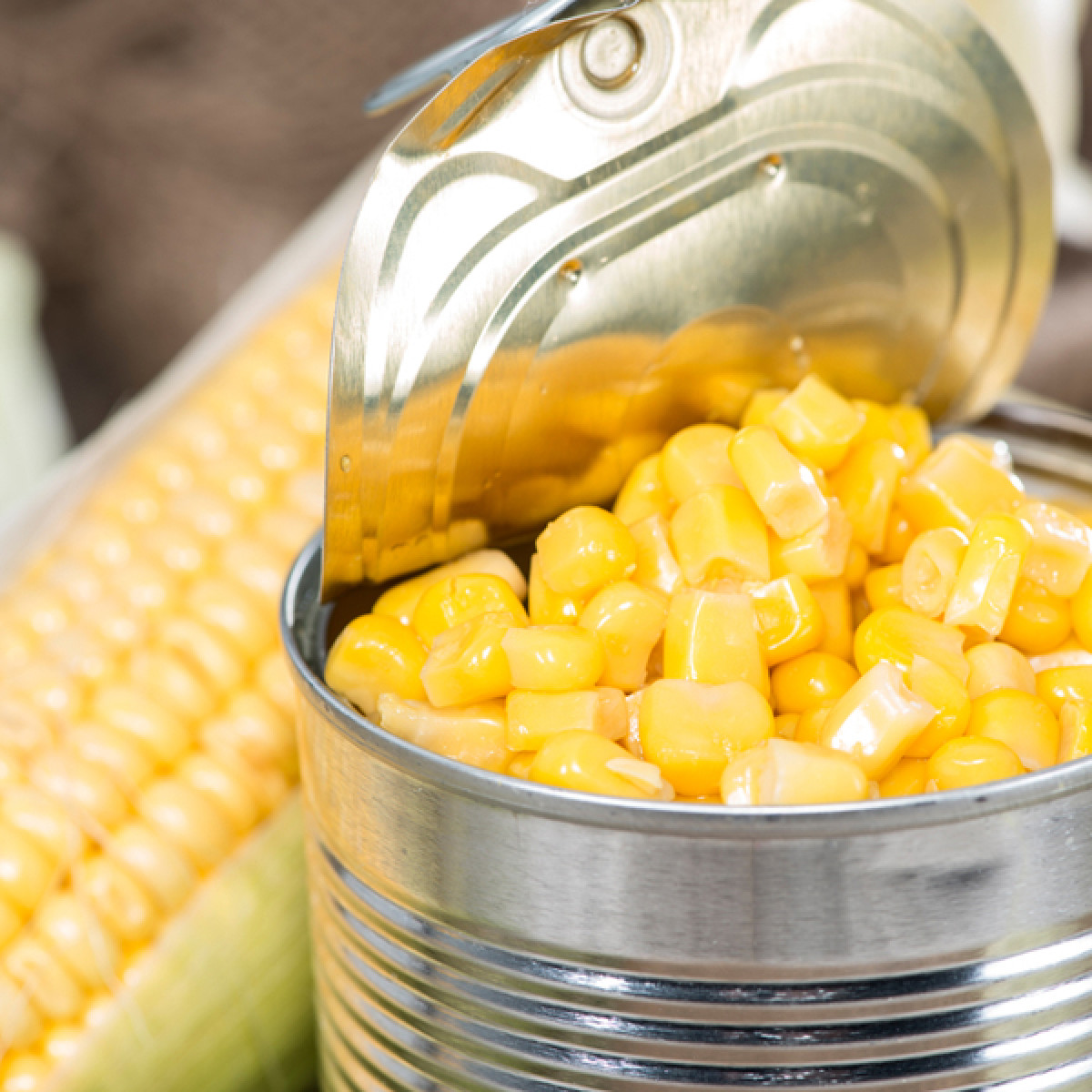 Hunger for colour | Habitat by Resene