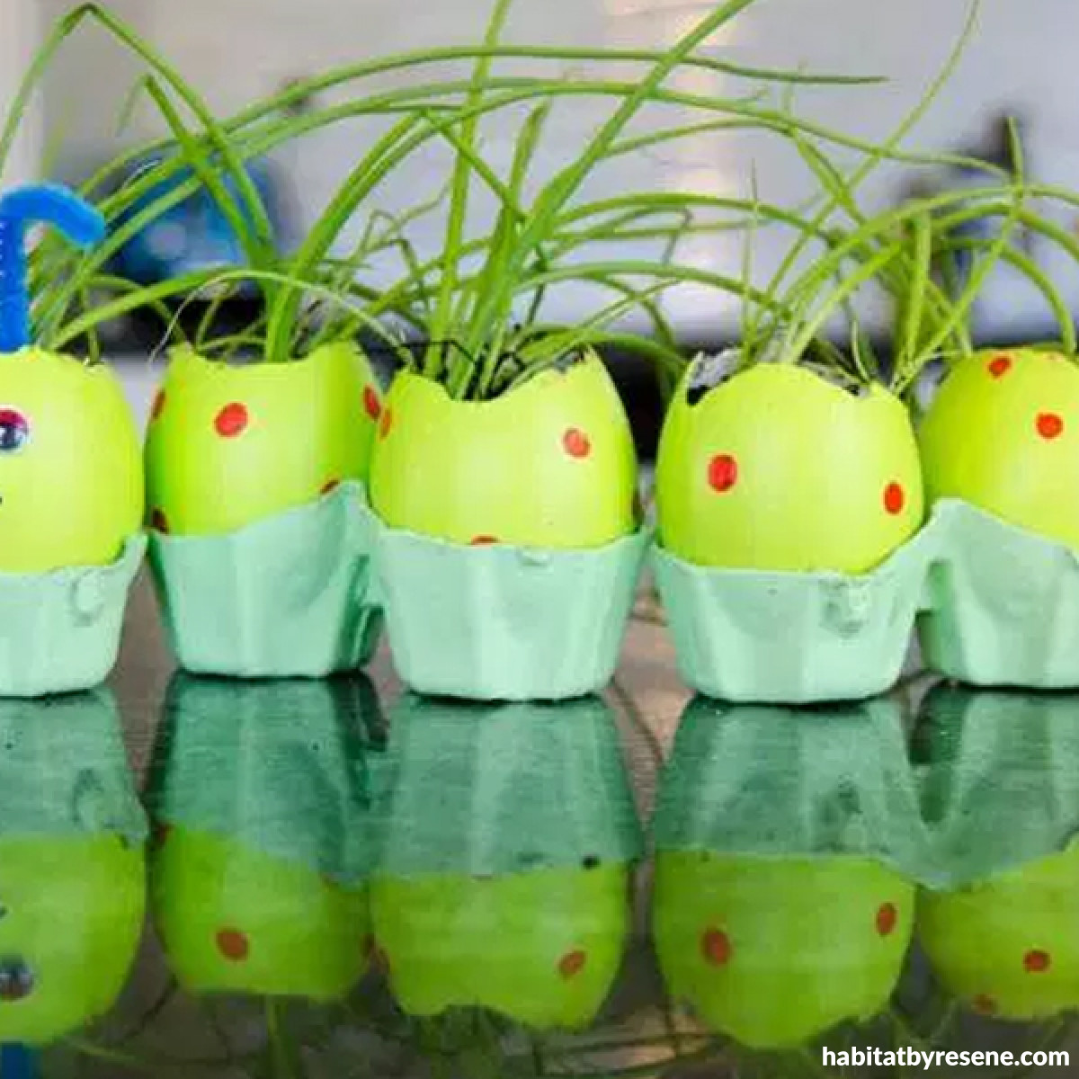 Cracking good ideas for kids | Habitat by Resene