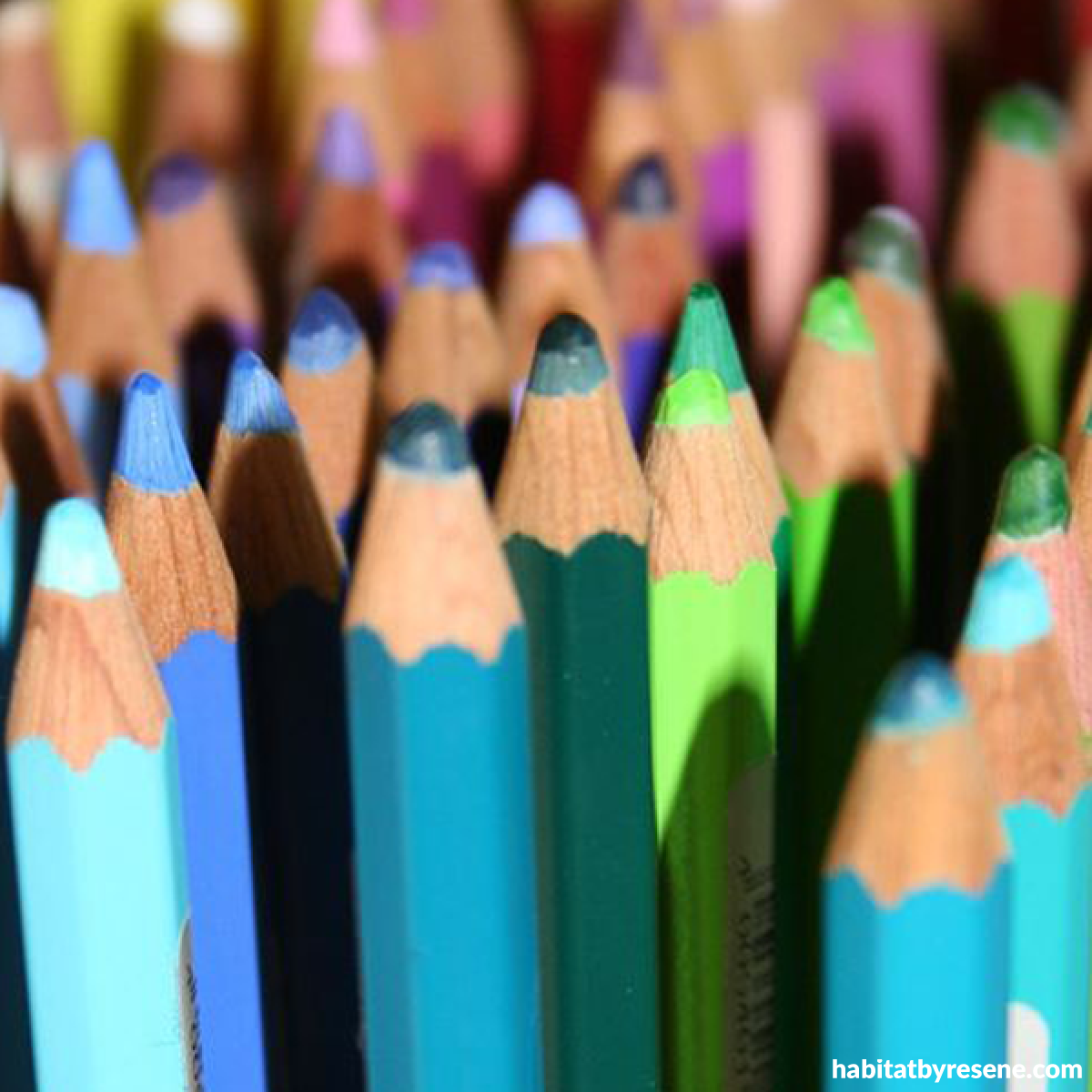 How's your colour knowledge? | Habitat by Resene