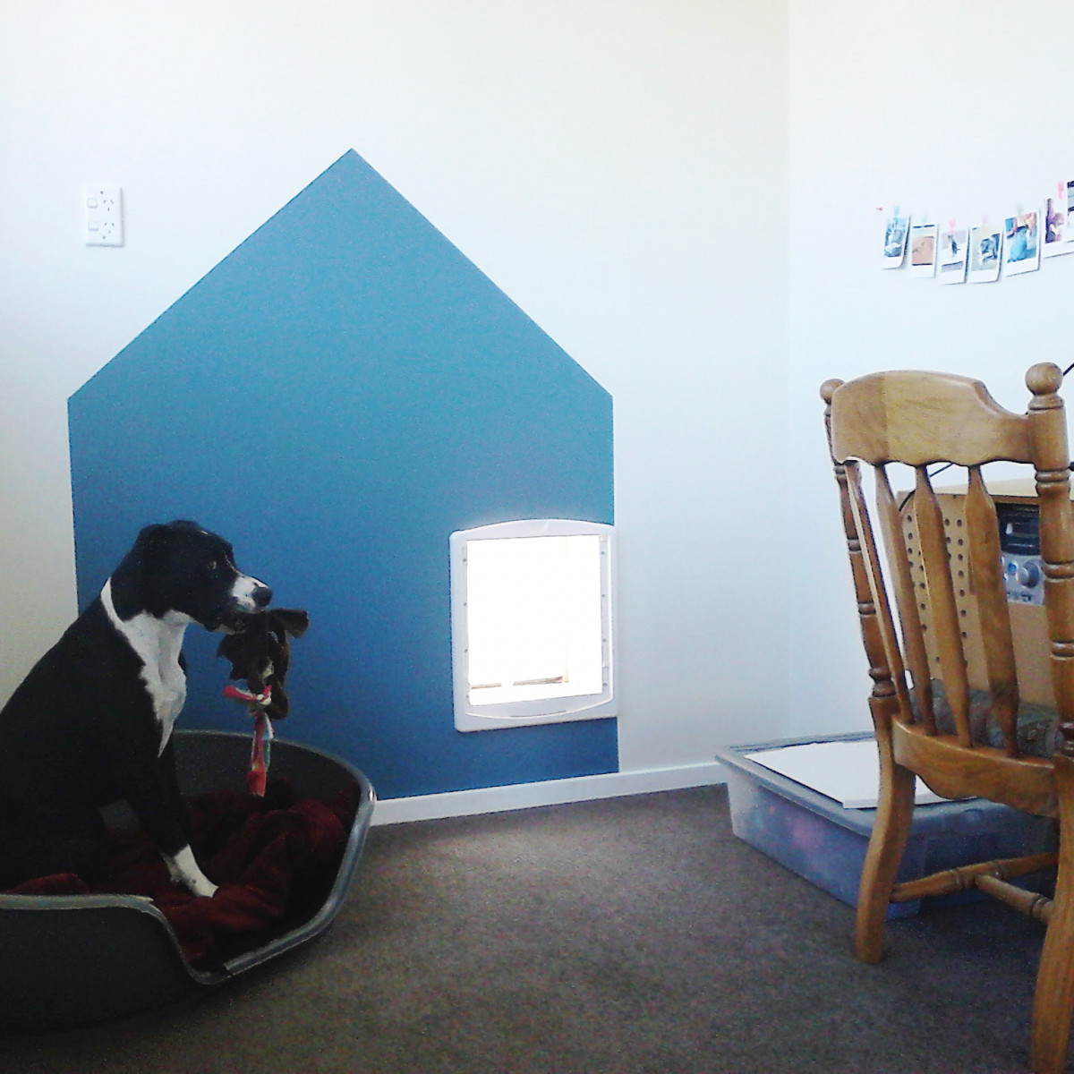 The cutest dog door design | Habitat by Resene