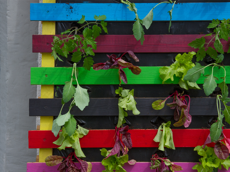 Keen to get green with your DIY? | Habitat by Resene