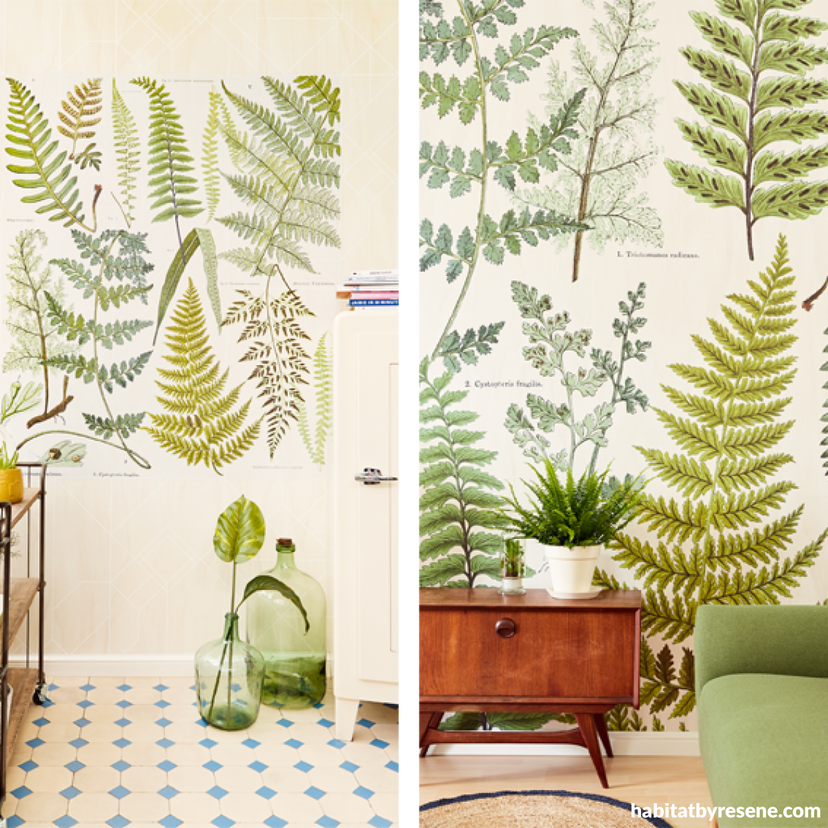 Your own botanic print | Habitat by Resene