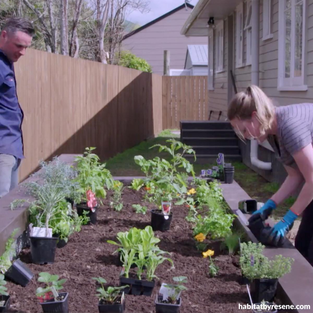 Get Growing: make a groovy veggie garden | Habitat by Resene