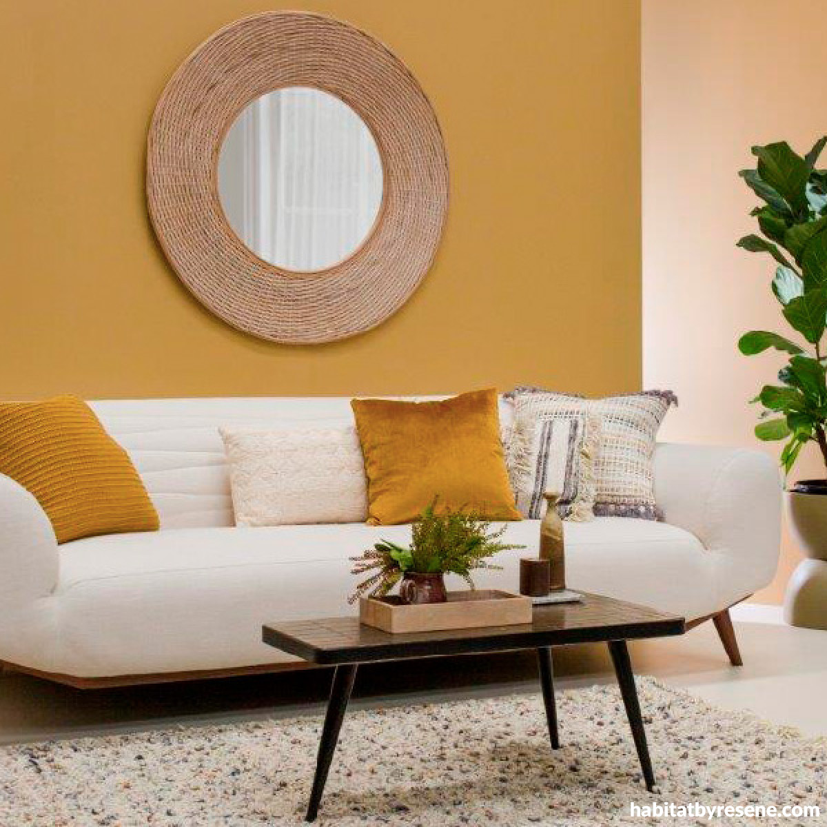 Going for gold | Habitat by Resene