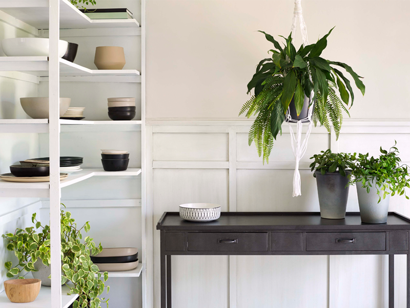 DIY: French wash panels | Habitat by Resene