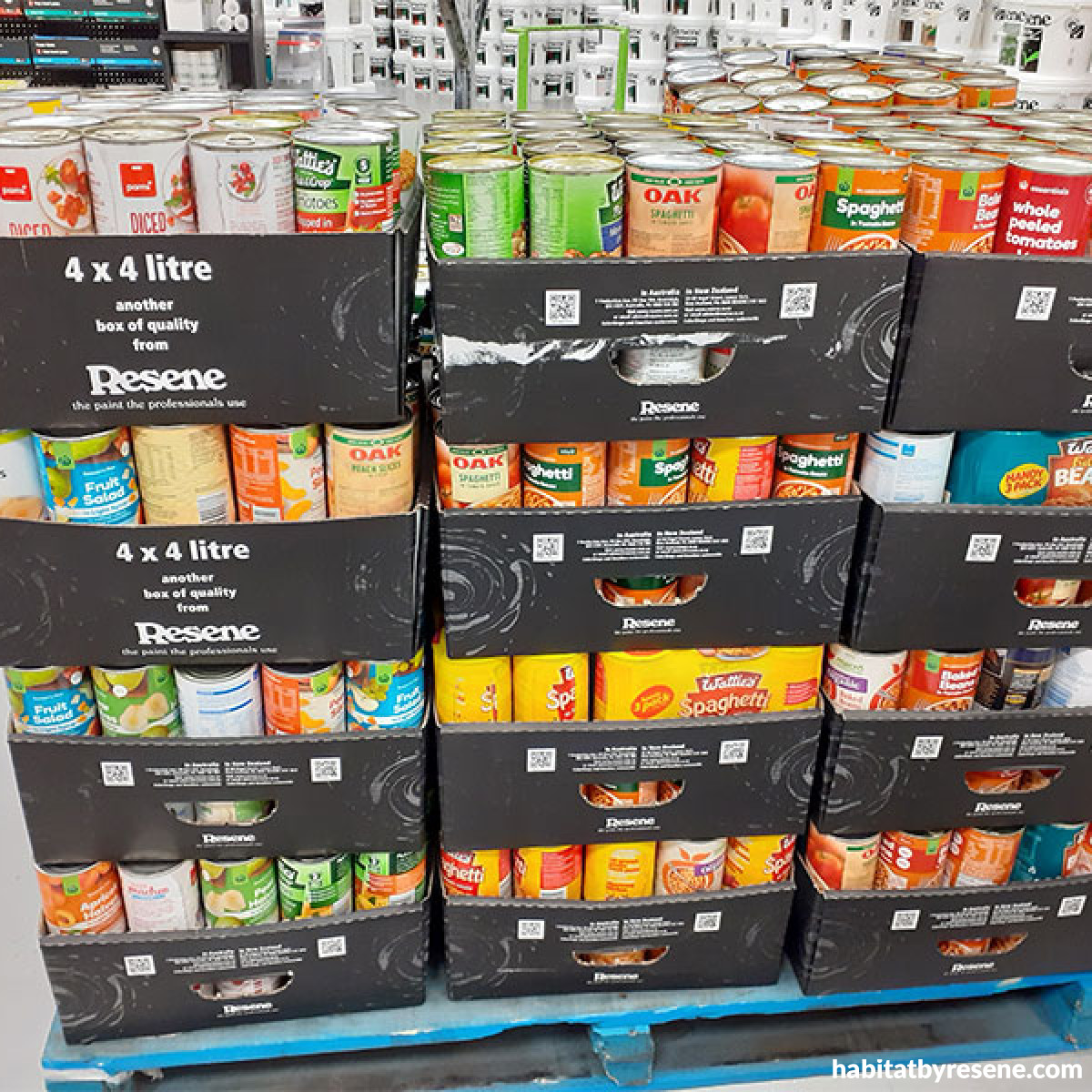 Resene’s Hunger for Colour Appeal a big win for the Salvation Army ...