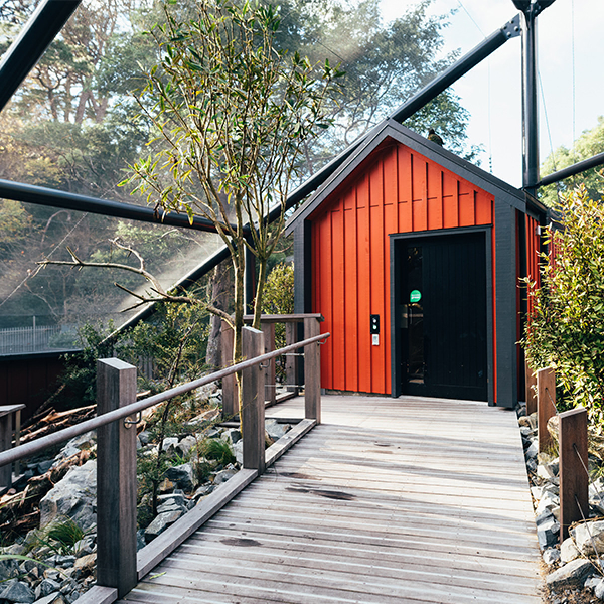 Wellington Zoo’s bright and interactive kea experience | Habitat by Resene