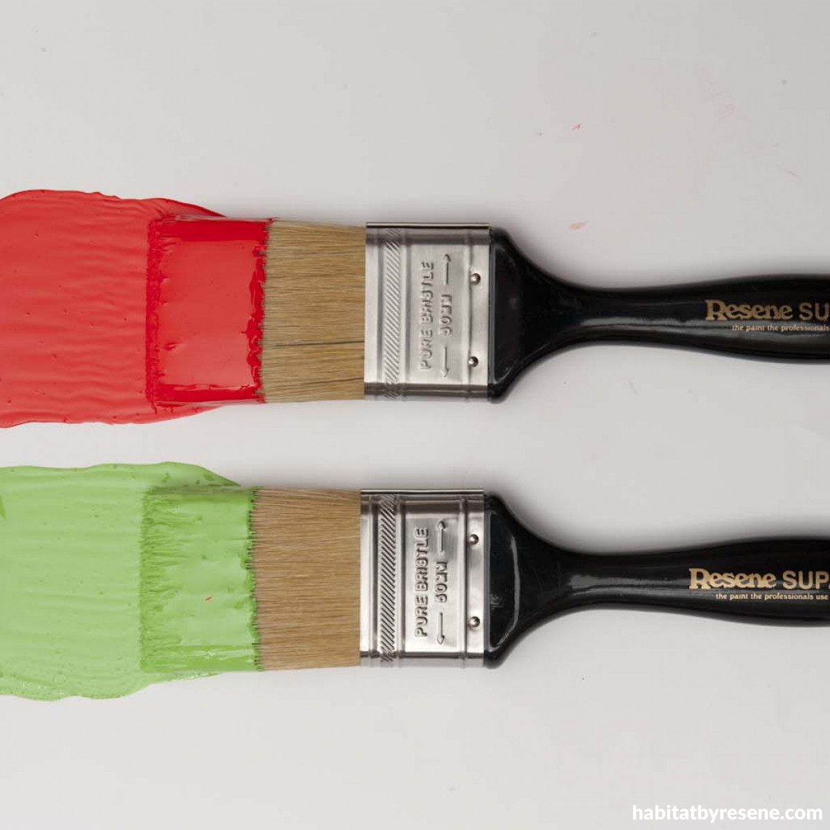 Revealing the mysteries of paint | Habitat by Resene