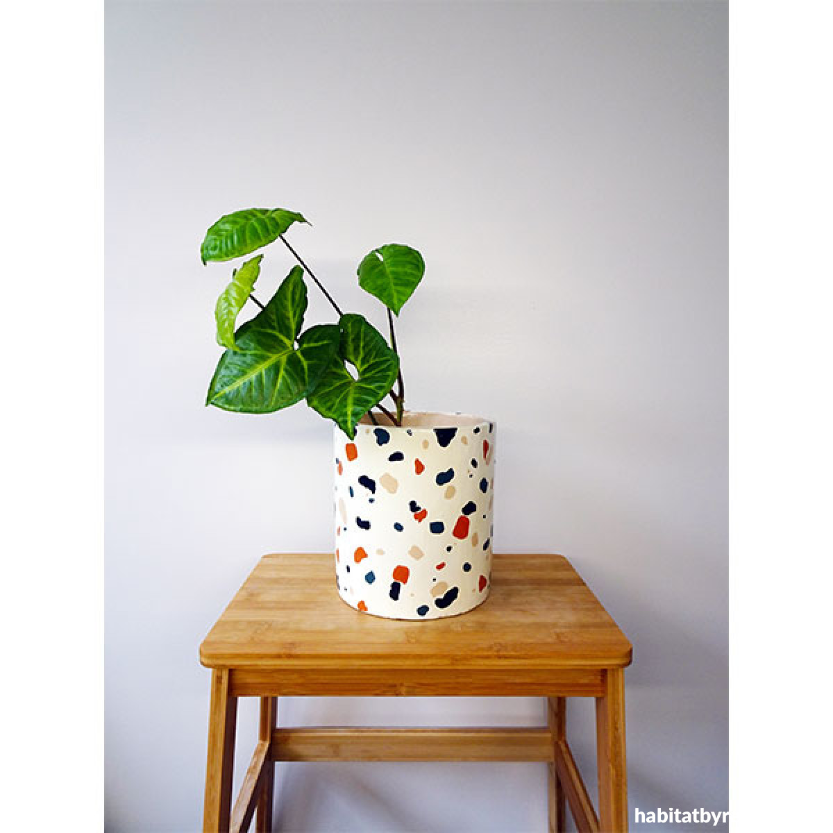 DIY Terrazzo-Effect Plant Pot | Habitat by Resene