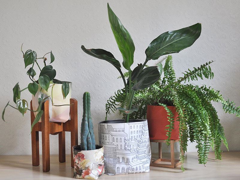 DIY wallpaper plant pot covers | Habitat by Resene